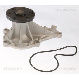 TRISCAN Wasserpumpe 860040017 f&uuml;r HONDA