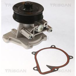 TRISCAN Wasserpumpe 860016074 f&uuml;r Ford