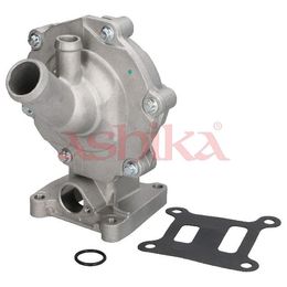 ASHIKA Wasserpumpe 35000302c f&uuml;r Ford JAGUAR