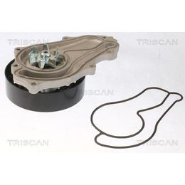 TRISCAN Wasserpumpe 860040022 f&uuml;r HONDA