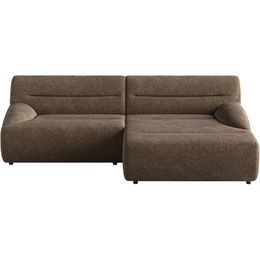 sit&more Ecksofa &raquo;Scrabble&laquo; Modernes Design in verschiedenen Stoffarten braun 100% Polyester B/H/T: 260cm x 80cm x 162cm, Microfaser, Recamiere rechts