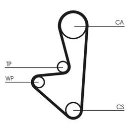 CONTINENTAL CTAM Wasserpumpe + Zahnriemensatz ct1066wp1 f&uuml;r Peugeot Citro&euml;n