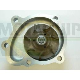 MOTAQUIP Wasserpumpe vwp835 f&uuml;r Vaughall Opel GM
