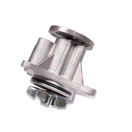 Hepu Wasserpumpe p904 f&uuml;r Peugeot