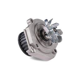 Hepu Wasserpumpe p1058 f&uuml;r Ford LANCIA