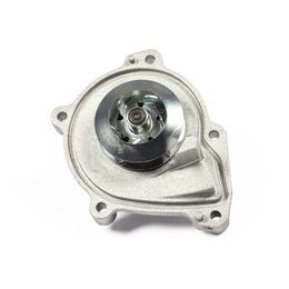 Hepu Wasserpumpe p495 f&uuml;r MINI Peugeot