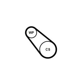 CONTINENTAL CTAM Wasserpumpe + Keilrippenriemensatz 3pk576elastwp2 f&uuml;r Vaughall DS