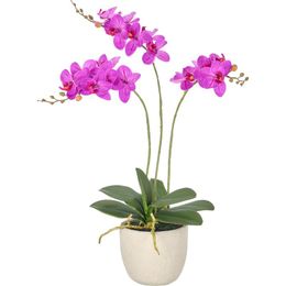 Creativ green Kunstorchidee &raquo;Phalaenopsis&laquo; mit drei Bl&uuml;tenstielen pink Obermaterial: 100% Kunststoff B/H/L: 60cm, 1 Stk.