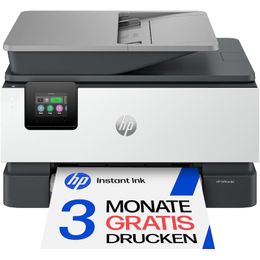 HP Multifunktionsdrucker &raquo;OfficeJet Pro 9120e&laquo; 3 Monate gratis* drucken mit Instant Ink grau 3 Monate gratis drucken mit HP Instant Ink und bis zu 50&euro;