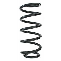 SPIDAN Fahrwerksfeder 87203 Hinterachse f&uuml;r BMW