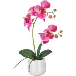 Creativ green Kunstorchidee &raquo;Phalaenopsis&laquo; mit Real-Touch-Bl&uuml;ten pink Obermaterial: 100% Kunststoff B/H/L: 38cm, 1 Stk.