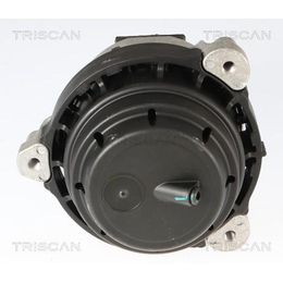 TRISCAN Lagerung, Motor 850511124 f&uuml;r BMW