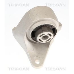 TRISCAN Lagerung, Motor 850581105 f&uuml;r Tesla