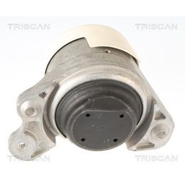 TRISCAN Lagerung, Motor 850523111 f&uuml;r Mercedes