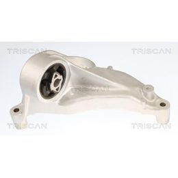 TRISCAN Lagerung, Motor 850581103 f&uuml;r Tesla