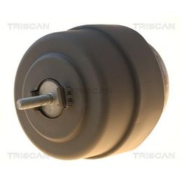 TRISCAN Lagerung, Motor 850529199 f&uuml;r Audi