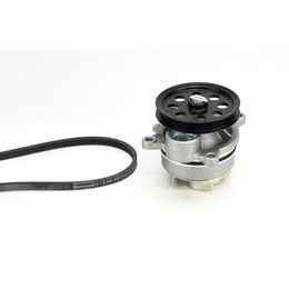 CONTINENTAL CTAM Wasserpumpe + Keilrippenriemensatz 3pk725elastwp1 f&uuml;r Ford