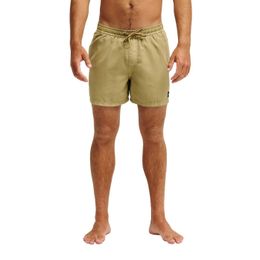 Quiksilver Herren Boardshorts "Everyday Surfwash Volley 15""kelp, Gr. M, Obermaterial: 100% Polyester., Hosen