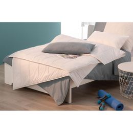 Centa Star Microfaserbettdecke &raquo;Regeneration&laquo; normal 1 Stk. tlg. Bezug: 100% Baumwolle. F&uuml;llung: 100% Polyester B/L: 200cm x 220cm, normal