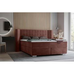 Home Affaire Boxspringbett &raquo;Piazza&laquo; mit Steppung und Kopfteil mit seitlichen Fl&uuml;geln rosa Strukturstoff-Bezug (100% Polyester);Samtvelours (100% 