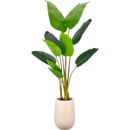 Creativ green Kunstpflanze &raquo;Strelitzia nicolai&laquo; in beeindruckender Gr&ouml;&szlig;e gr&uuml;n Obermaterial: 100% Kunststoff B/H/L: 170cm, 1 Stk.