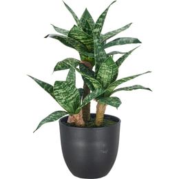 Creativ green K&uuml;nstliche Zimmerpflanze &raquo;Sansevieria Laurentii&laquo; mit wundersch&ouml;ner Blattzeichnung gr&uuml;n Obermaterial: 100% Kunststoff B/H/L: 40cm, 1 Stk.