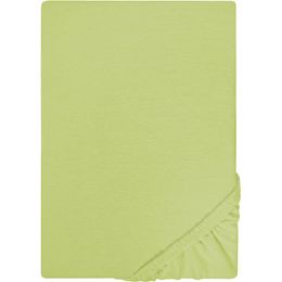 Spannbettlaken &raquo;Jersey in Gr. 90x200, 140x200 oder 180x200 cm&laquo; aus Baumwolle, f&uuml;r Matratzen bis 22 cm H&ouml;he, Bettlaken, Spannbetttuch gr&uuml;n Jersey, 