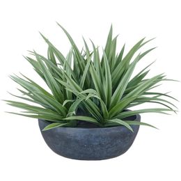 Creativ green Kunstpflanze &raquo;Dracaena&laquo; mit naturgetreuem Blattwerk gr&uuml;n Obermaterial: 100% Kunststoff B/H/L: 50cm, 1 Stk.