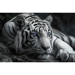 Bild &raquo;Wandbild TIGER 78x118 cm &ndash; Leinwandbild Keilrahmen Deko modern&laquo; Raubkatzen Tiger Wildtiere auf Keilrahmen gespannt schwarz-wei&szlig; Canvas, MDF B/H/