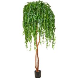 Creativ green Kunstbaum &raquo;Salix alba&laquo; in beeindruckender Gr&ouml;&szlig;e gr&uuml;n Obermaterial: 100% Kunststoff B/H/L: 220cm, 1 Stk.