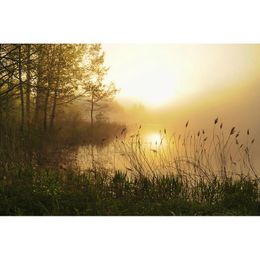 papermoon Fototapete &raquo;Nebelwaldsee&laquo; bunt Vlies B/L: 3m x 2,23m, Bahnen: 6 Stk.