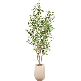 Creativ green Kunstbaum &raquo;Ficus microcarpa Hawai&laquo; in beeindruckender Gr&ouml;&szlig;e gr&uuml;n Obermaterial: 100% Kunststoff B/H/L: 190cm, 1 Stk.