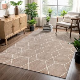 Sanat Teppich &raquo;Trellis, auch als L&auml;ufer und Rund&laquo; rechteckig 10 mm H&ouml;he Kurzflor, skandi, boho, gro&szlig;e Farbauswahl, alle R&auml;ume Kunstfaser B : 200cm 1 Stk., 