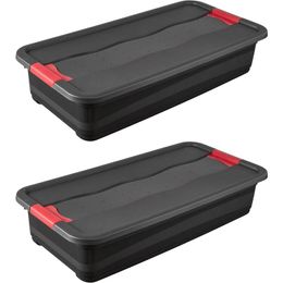 keeeper Transportbeh&auml;lter &raquo;eckhart, 2er Set Transporbox, 33 L, 79,5 x 39,5 x 17 cm&laquo; 39,5 cm breit 17 cm hoch 79,5 cm lang Set, 2 Stk. tlg. seitl. 