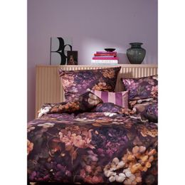 Apelt Bettw&auml;sche &raquo;Lutetia&laquo; 2 Bettw&auml;sche-Set mit Rei&szlig;verschluss, Baumwoll-Satin, Digitaldruck Satin (Bio-Baumwolle), Bezug: 100% Baumwolle B/L: 155cm x