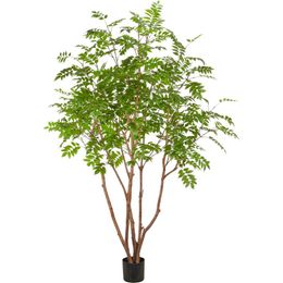 Creativ green Kunstbaum &raquo;Toxicodendron&laquo; in beeindruckender Gr&ouml;&szlig;e gr&uuml;n Obermaterial: 100% Kunststoff B/H/L: 240cm, 1 Stk.