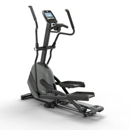 Horizon Fitness Ellipsentrainer-Ergometer &raquo;Andes 7.1&laquo; grau ohne Unterlegmatte Ellipsentrainer-Ergometer