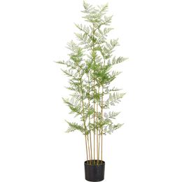 Creativ green Kunstpflanze &raquo;Hasenpfotenfarn&laquo; mit naturgetreuen Farnwedeln gr&uuml;n Obermaterial: 100% Kunststoff B/H/L: 120cm, 1 Stk.