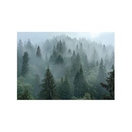 WALLARENA Fototapete Wald in Gr&uuml;n | Gr.: 150 x 105 cm
