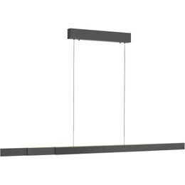 Paul Neuhaus LED Pendelleuchte &raquo;Adriana Square&laquo; LED-Board 1 Stk. warmwei&szlig; - kaltwei&szlig; Touchdimmer, CCT 2700-5000K, getrennt schaltbar, Memory, Comfort -Lift grau 6,