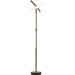 HELL h&ouml;llisch gutes Licht LED Stehlampe &raquo;TWICE&laquo; LED-Modul 1 Stk. warmwei&szlig; - kaltwei&szlig; Tastdimmer, CCT braun 2, H: 185cm, 1 Stk.