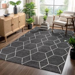 Sanat Teppich &raquo;Trellis, auch als L&auml;ufer und Rund&laquo; rechteckig 10 mm H&ouml;he Kurzflor, skandi, boho, gro&szlig;e Farbauswahl, alle R&auml;ume Kunstfaser B : 140cm 1 Stk., 
