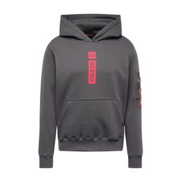 Alpha Industries Sweatshirt Herren Gr&ouml;&szlig;e XXXL dunkelgrau / grenadine