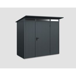 EcoStar Ger&auml;tehaus 'Trend-P Typ 1' anthrazitgrau 238 x 107,8 cm, mit Einzelt&uuml;r
