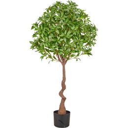 Creativ green Kunstbaum &raquo;Pieris&laquo; als Hochstamm gr&uuml;n Obermaterial: 100% Kunststoff B/H/L: 125cm, 1 Stk.