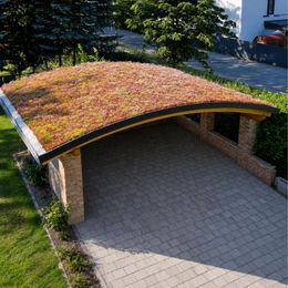 SedumExtra Dachbegr&uuml;nungskassettensystem 14 m&sup2;
