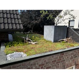 SedumExtra Leichtdachbegr&uuml;nung extensiv 42 m&sup2;