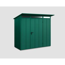 EcoStar Ger&auml;tehaus 'Elegant-P Typ 1' moosgr&uuml;n 238 x 107,8 cm, mit Einzelt&uuml;r