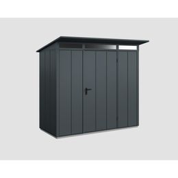 EcoStar Ger&auml;tehaus 'Elegant-P Typ 1' anthrazitgrau 238 x 107,8 cm, mit Einzelt&uuml;r