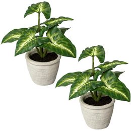 Creativ green K&uuml;nstliche Zimmerpflanze &raquo;Blattpflanze Syngonium&laquo; im Zementtopf, 2er Set gr&uuml;n Kunststoff B/H/L: 15cm x 20cm, 2 Stk.